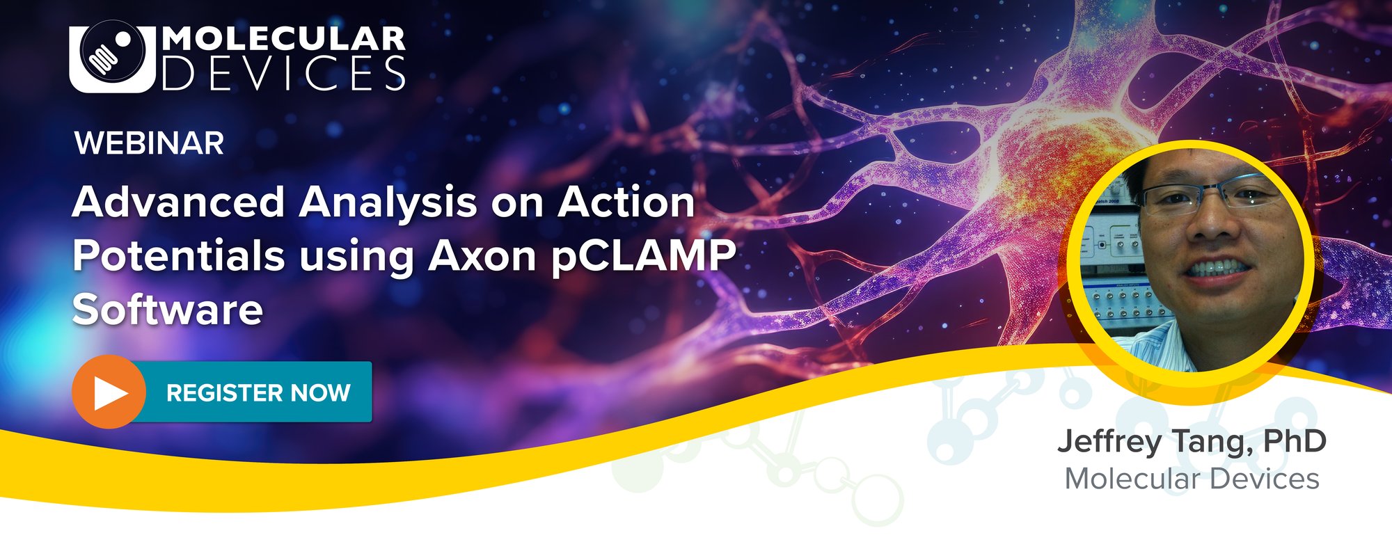 Learn how to perform precise measurement on action potentials