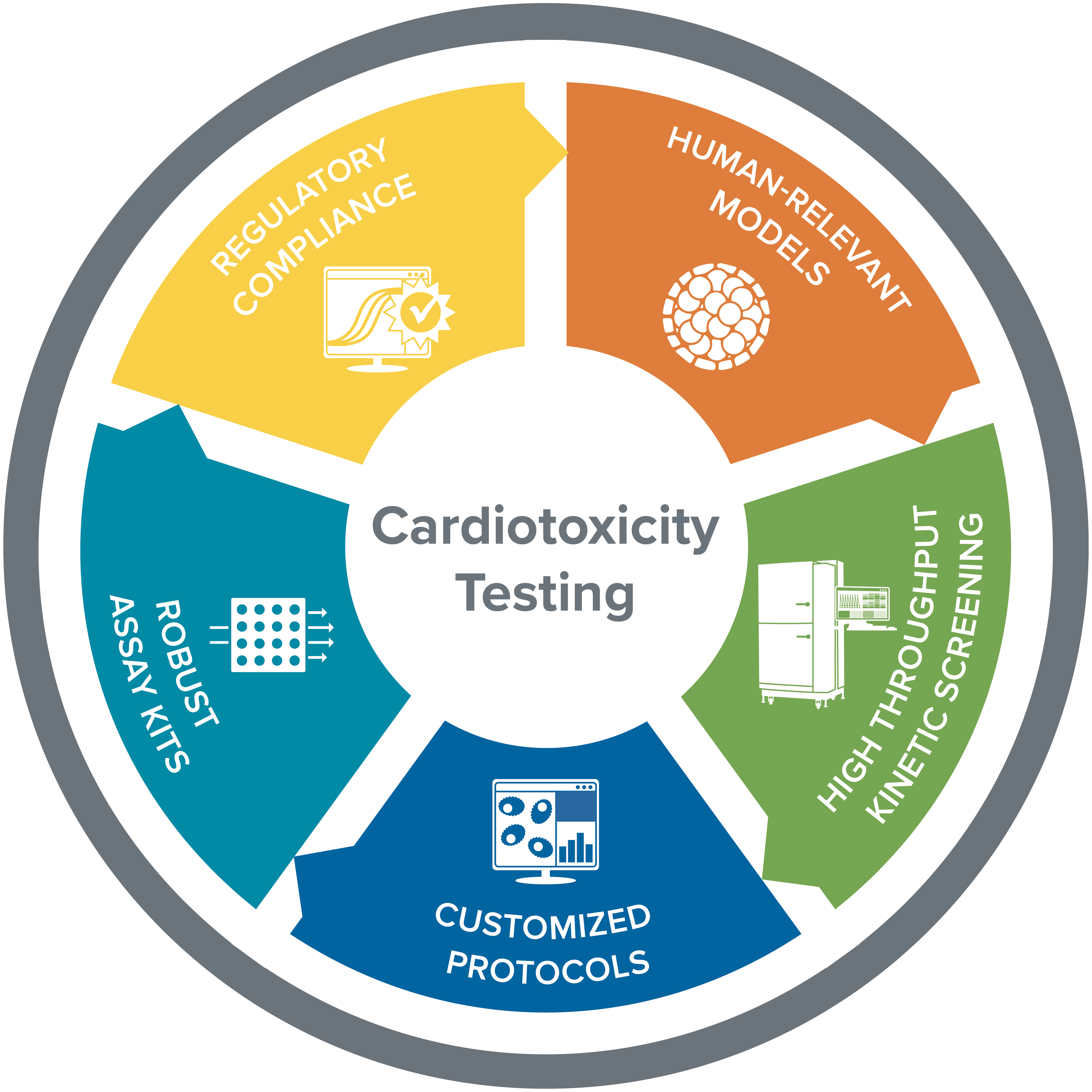 Advanced Cardiotoxicity Screening Instruments For Your Lab