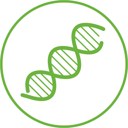 Custom Organoid Expansion Service. Get reproducible, assay-ready PDOs.