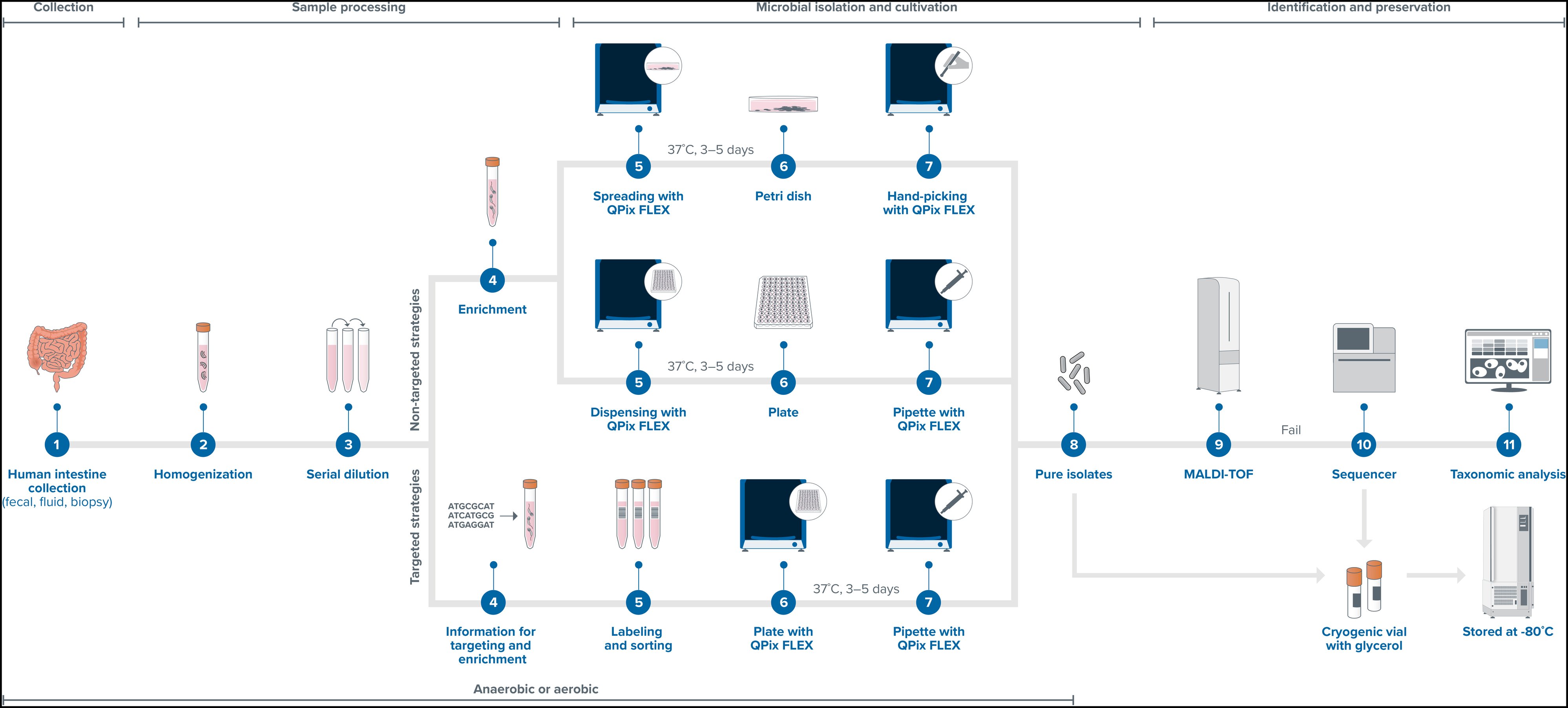 Introducing the all-new QPix FLEX Microbial Colony Picking System