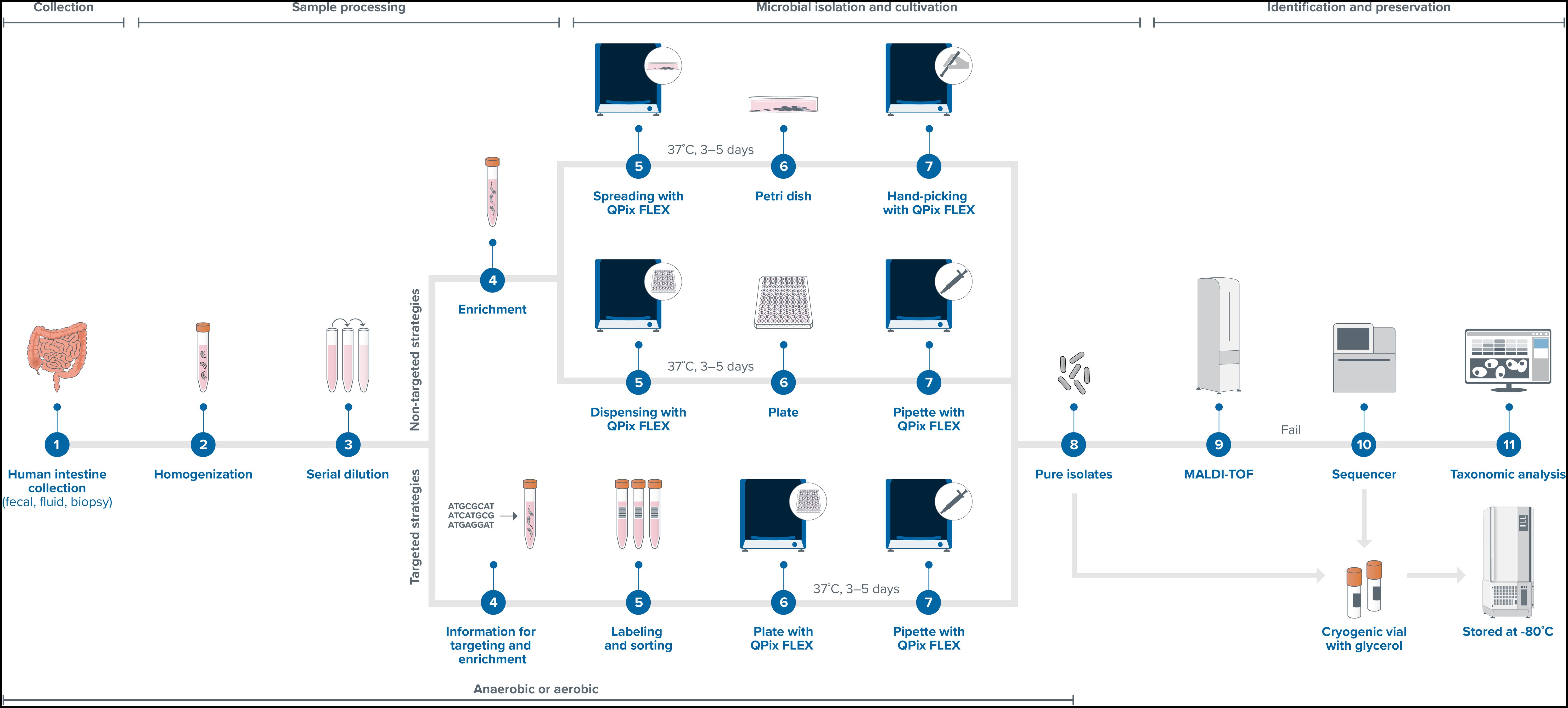 Introducing the all-new QPix FLEX Microbial Colony Picking System