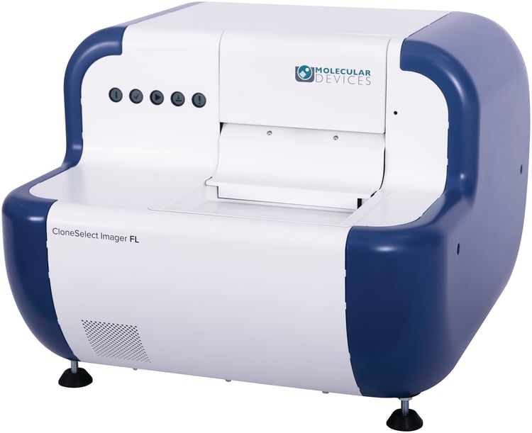 Transform With the Power of Plasmids