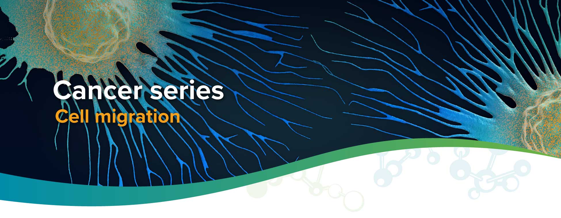 Cell migration for cancer application note bundle