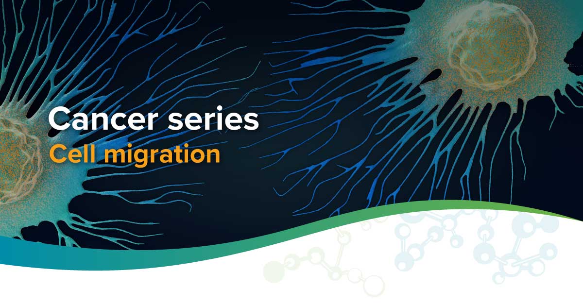Cell migration for cancer application note bundle